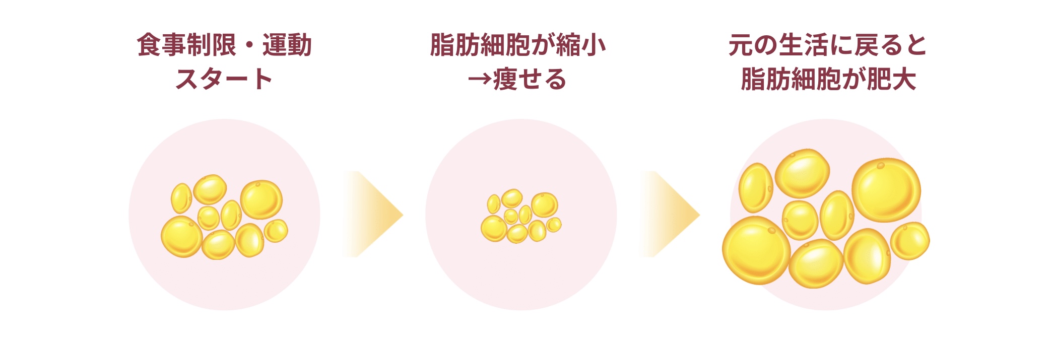 Fat Dissolving Injection - BLAZE CLINIC【Medical Diet & Cosmetic ...